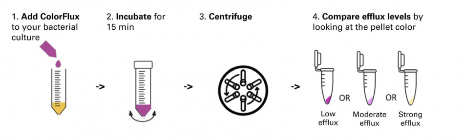 Eagle Biosciences Blog | EagleBio | ELISA Assay Kits